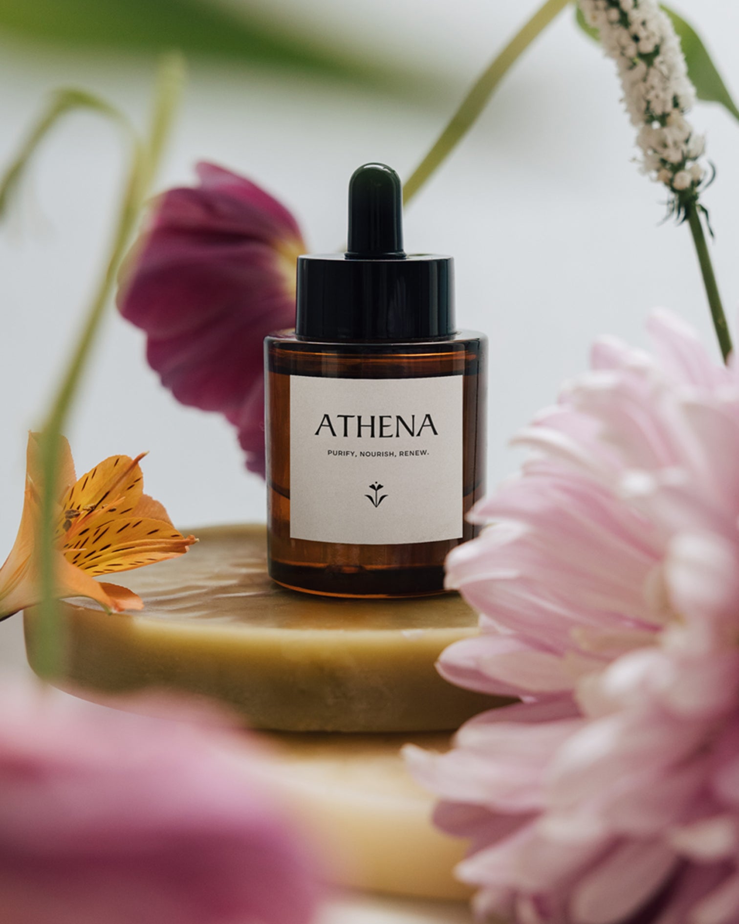 15 Creative Nutrition Instagram Post Ideas to Try – Willoe Studio