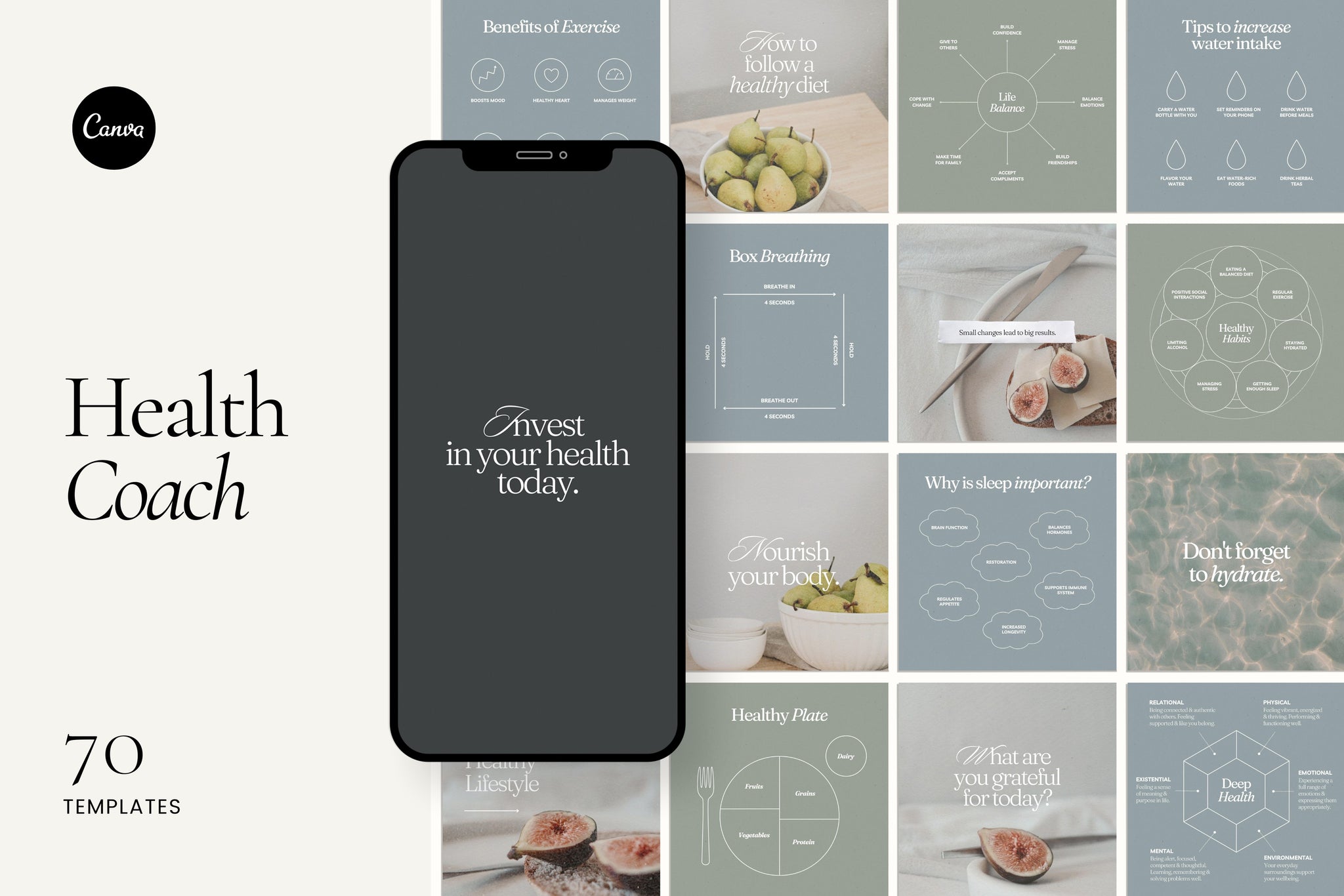 Canva Templates for Health Coaches | Willoe Studio