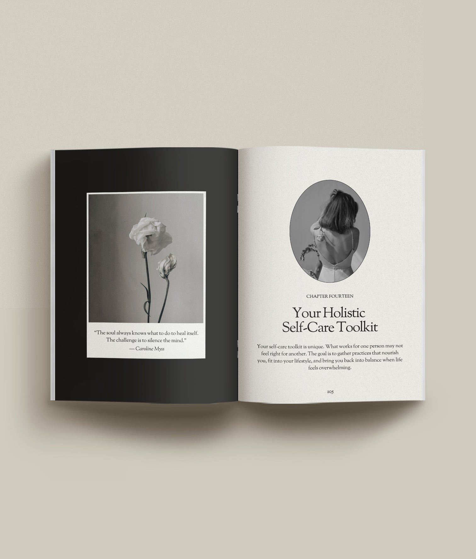 Holistic Coach Ebook – Willoe Studio