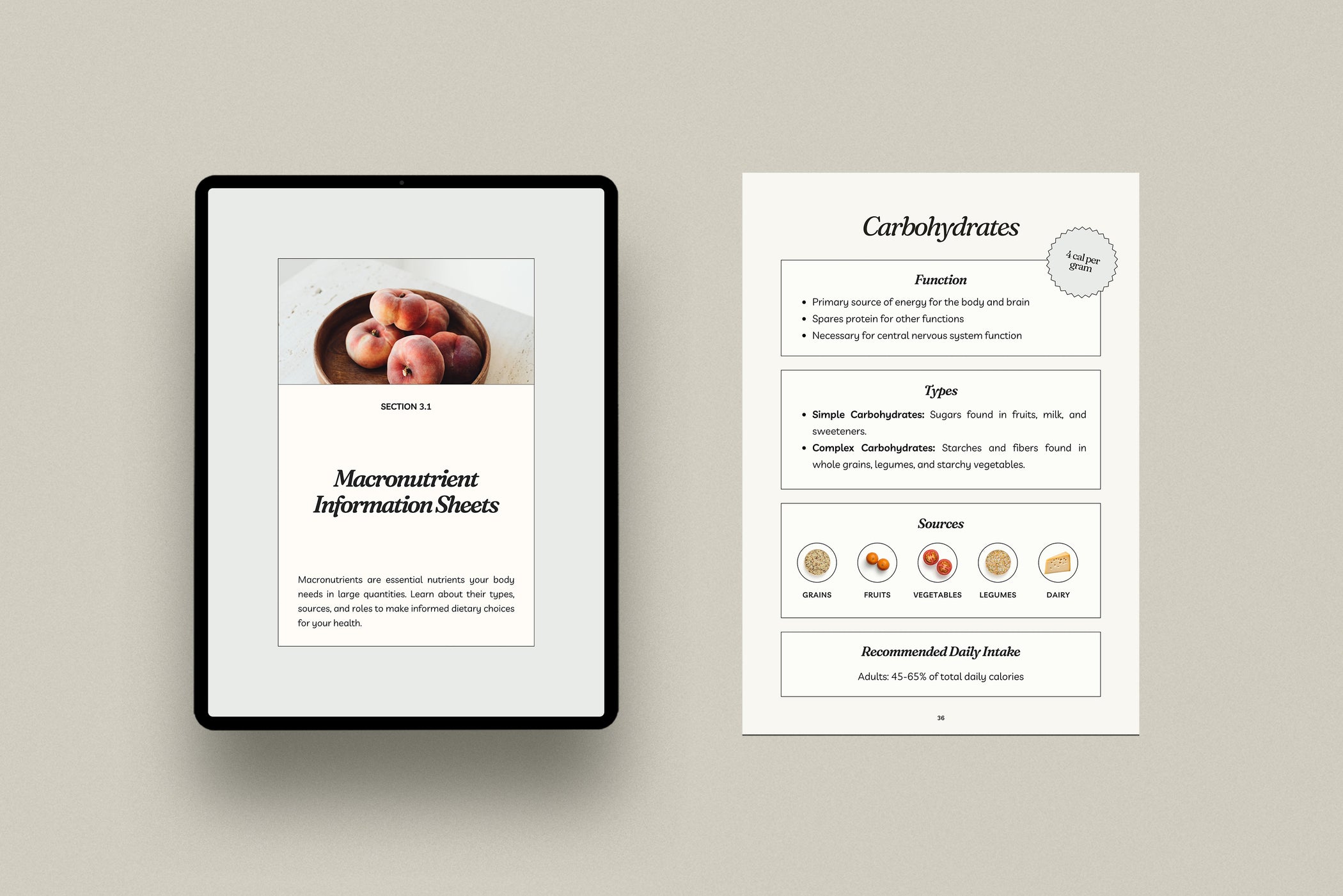 Nutrition Coach Workbook – Willoe Studio
