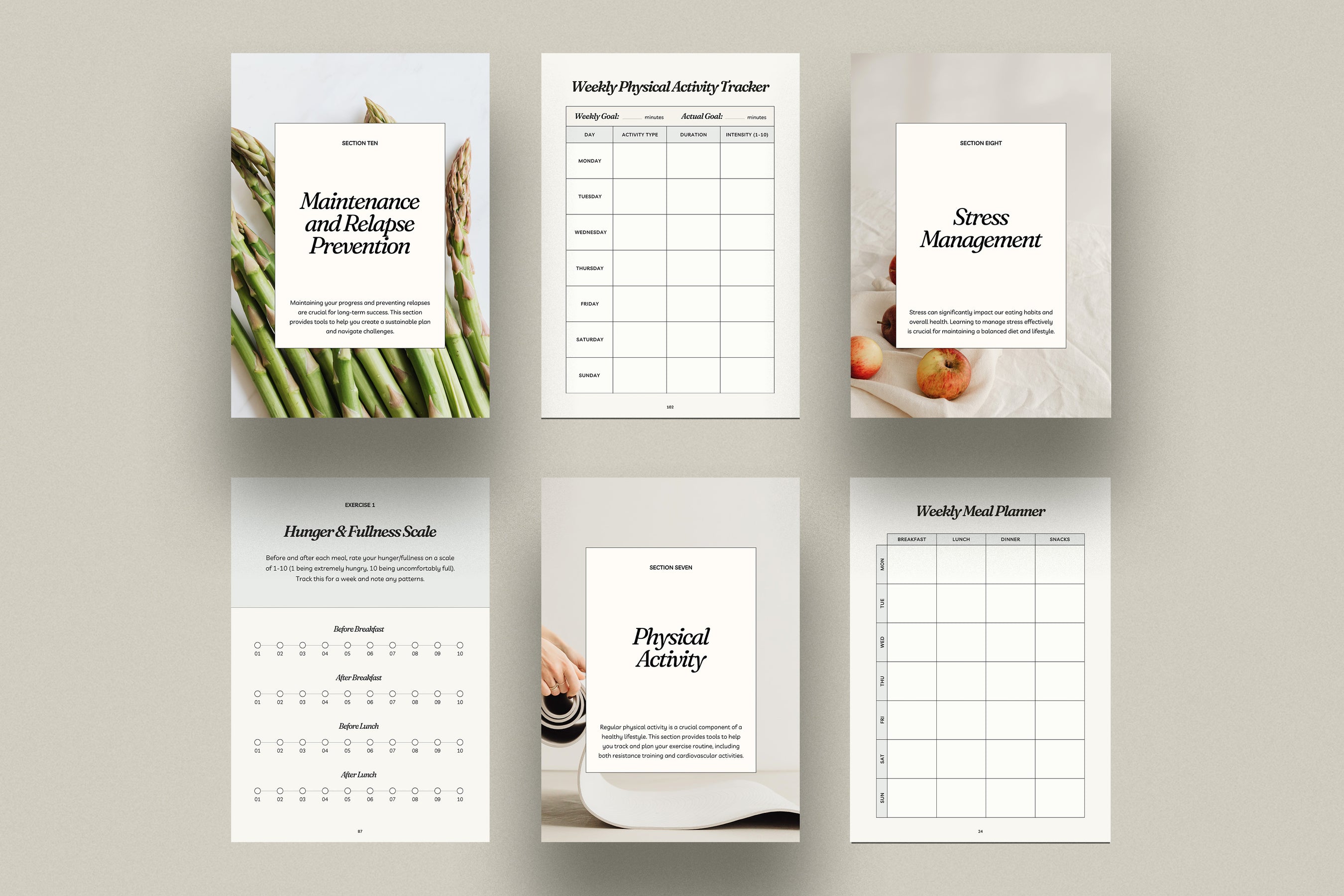 Nutrition Coach Workbook – Willoe Studio